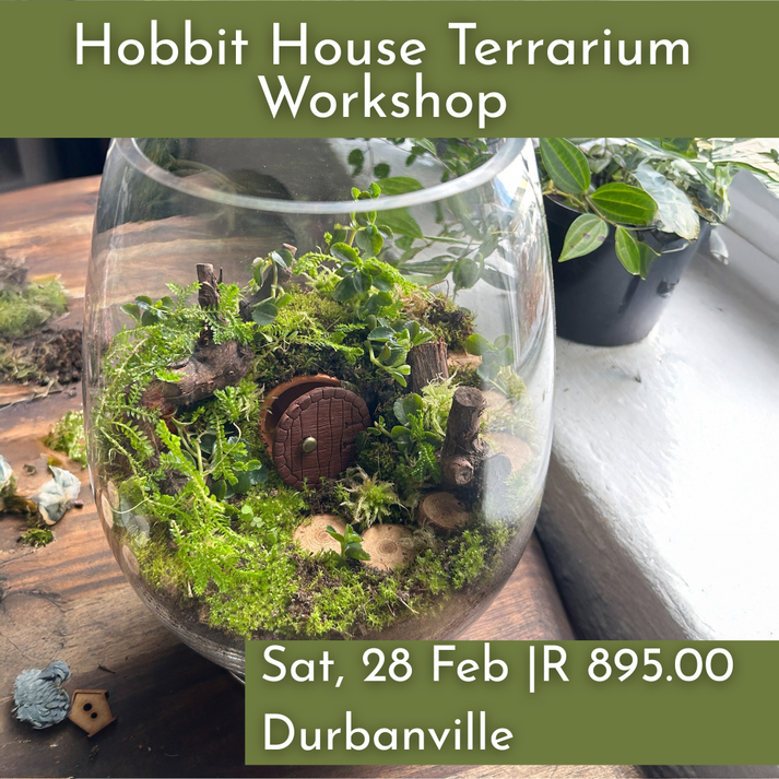 Hobbit House Terrarium Workshop | Sat, 28 Feb 2026 | Durbanville - Rus ...