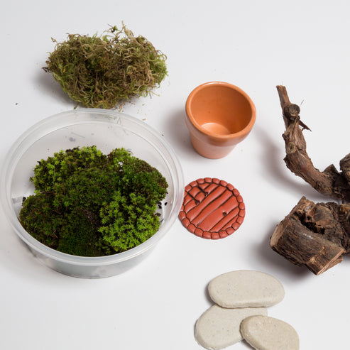 Hobbit House Terrarium Kit – Elderflower Nursery
