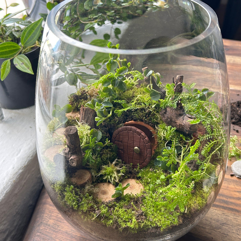 Hobbit House Terrarium Workshop | Sat, 28 Feb 2026 | Durbanville - Rus ...